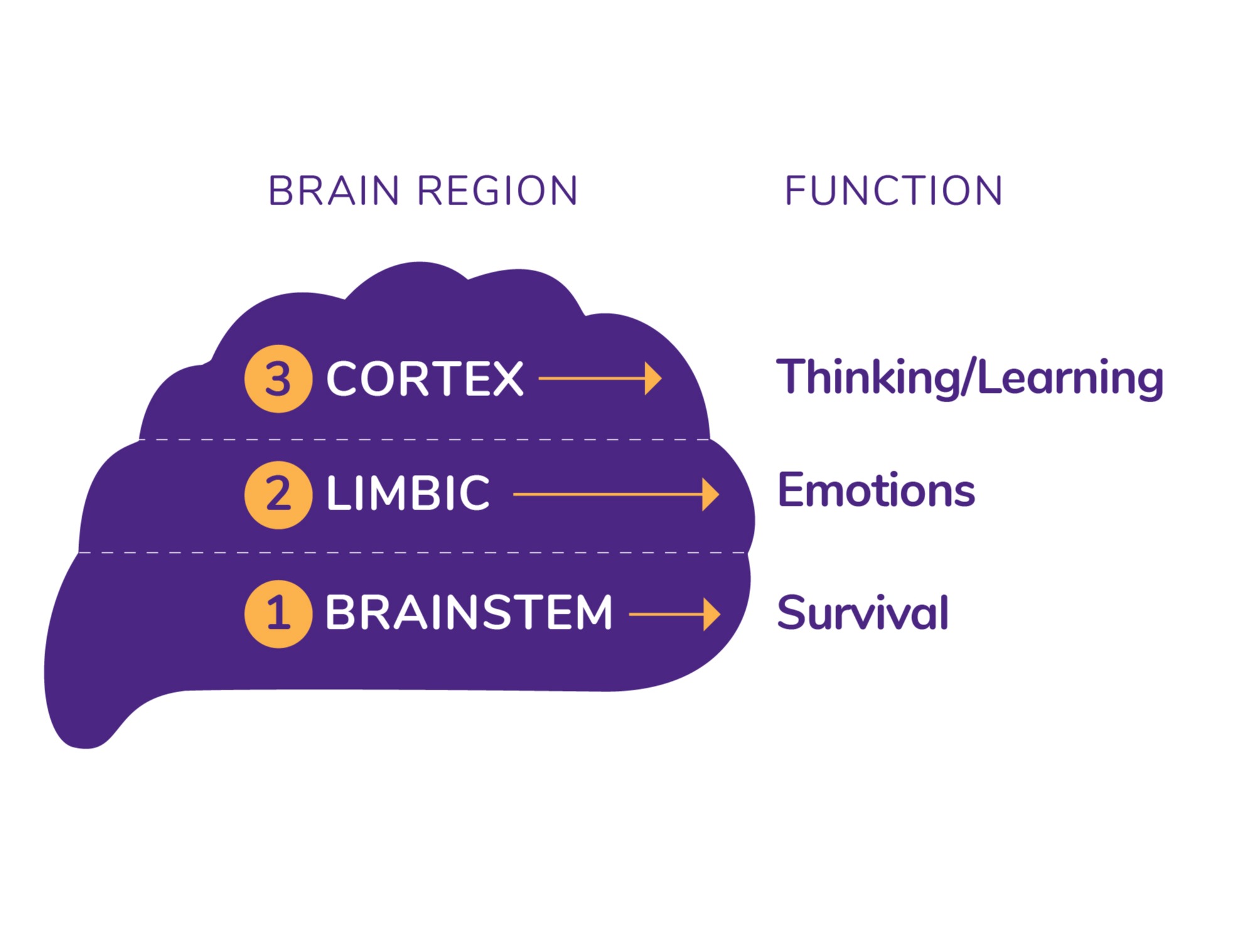 How Trauma Affects a Child’s Brain | We Care NSW